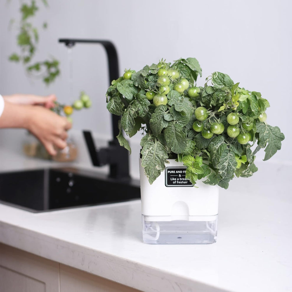 Magnetic Self-Watering Pots – Clear Base Planters for Herbs ...